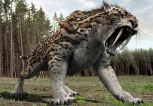 Saber Tooth Tiger Facts For Kids - Diet Habitat Adaptations & More
