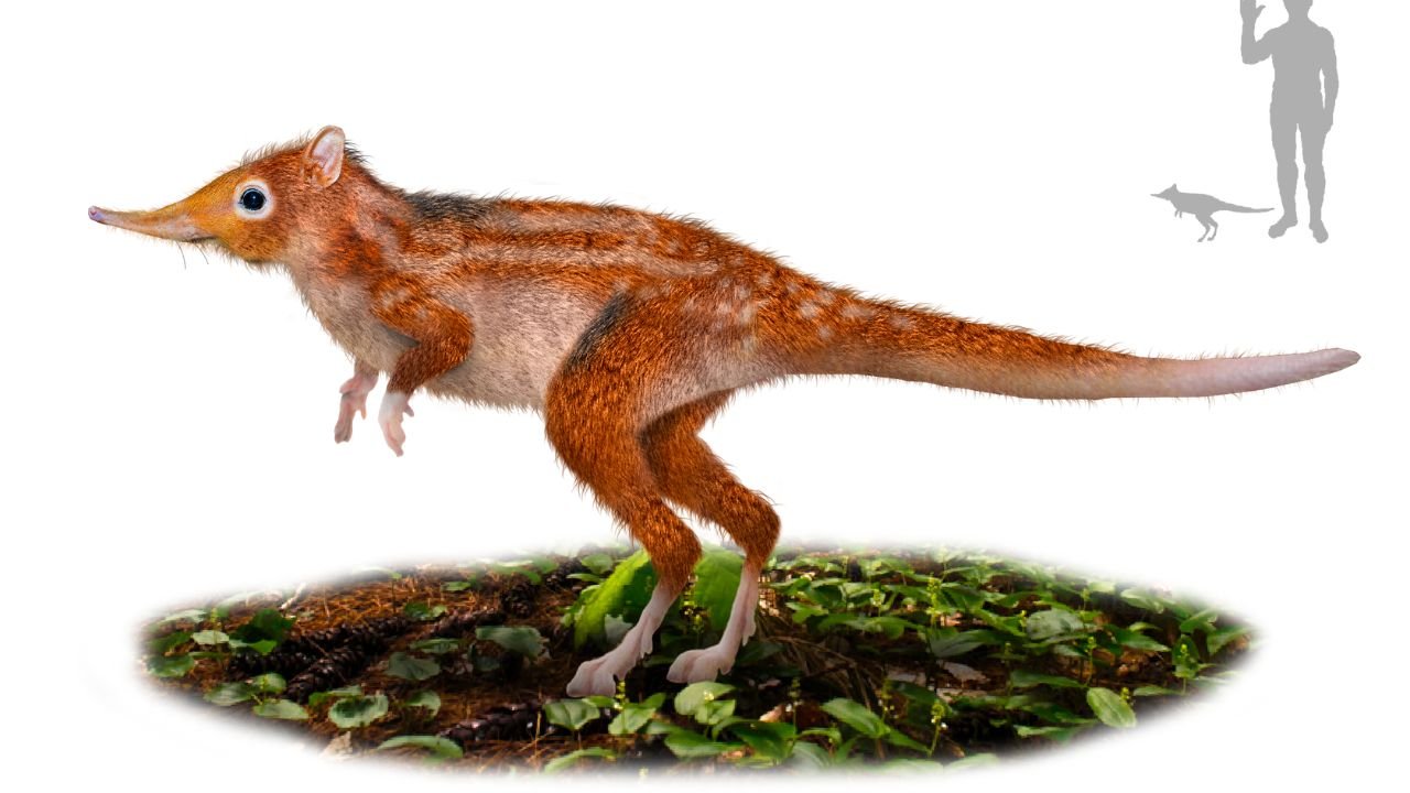 What is Scrat From Ice Age? The Ice Age's Most Beloved Character!