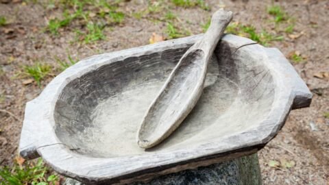 Stone Age Food Adventures: Unearthing the Secrets of the Stone Age Diet!