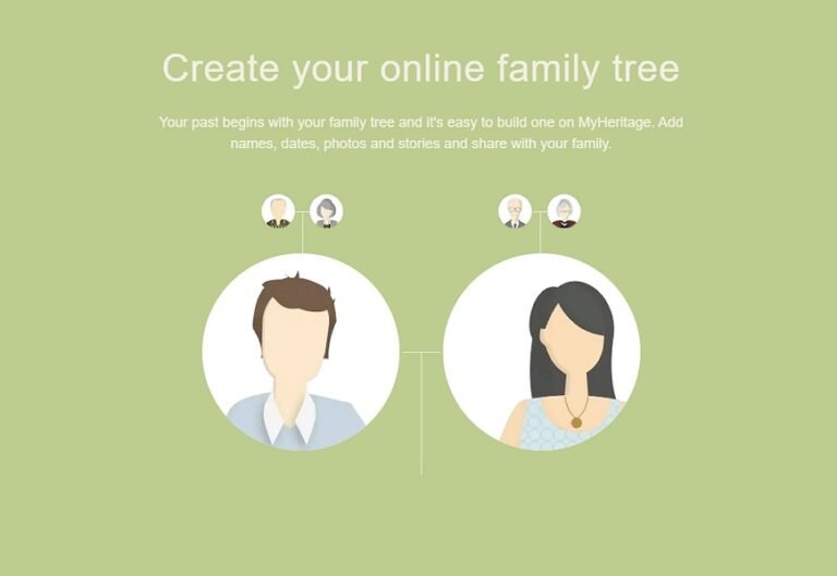 Creating a Family Tree with Children: Ideas and Recommendations